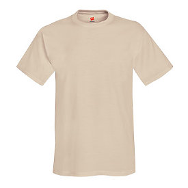 HANES ESSENTIAL-T | American-T-Shirt-Company