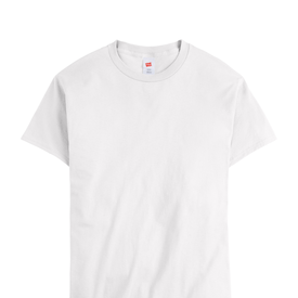 HANES ESSENTIAL-T | American-T-Shirt-Company